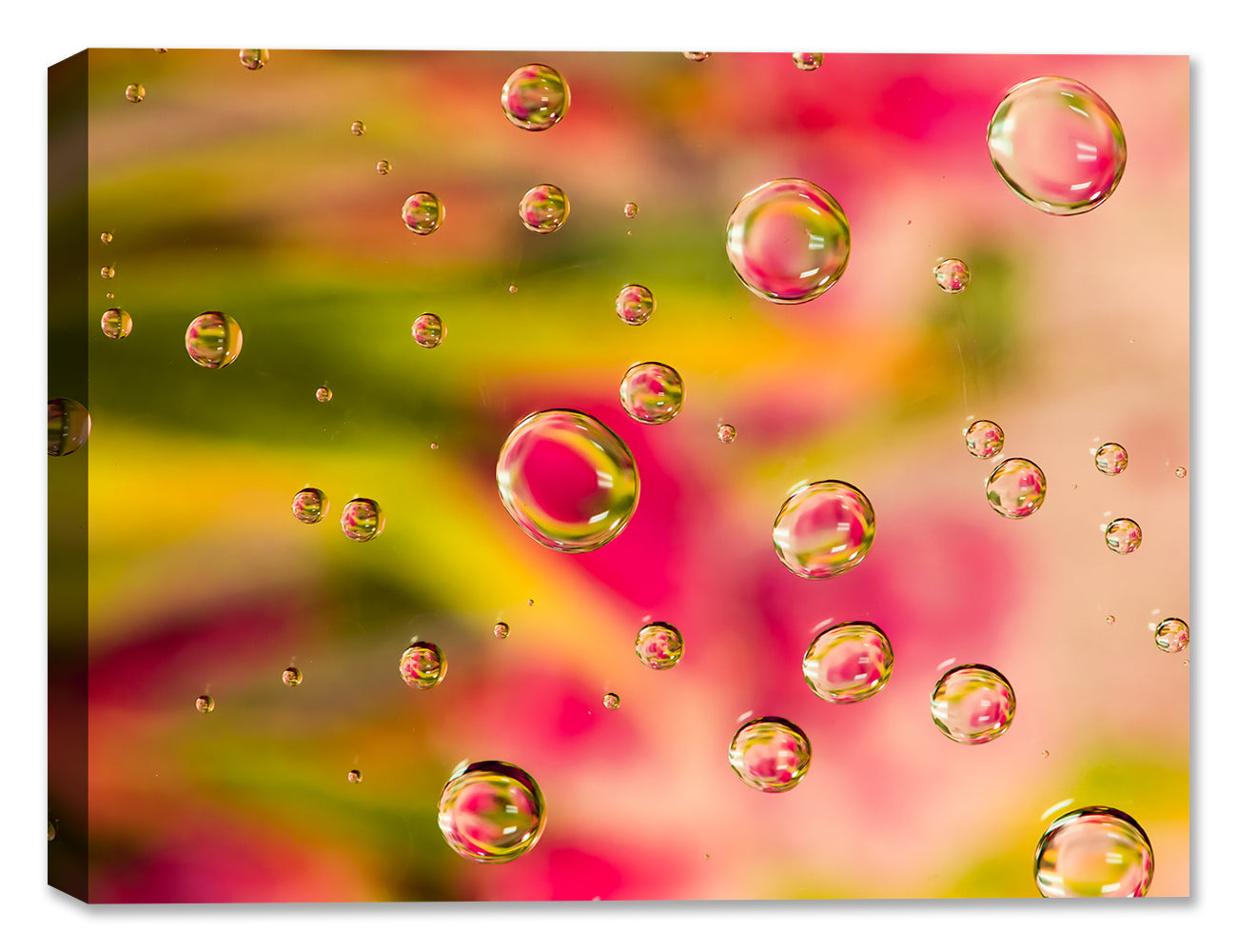 Oil & Water Macro Photography - Wall Art – Canvas Art Plus