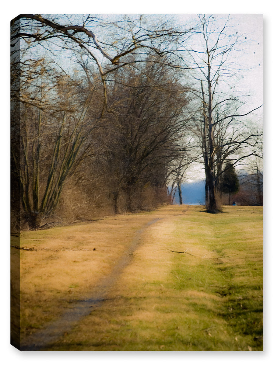 Dream Walk by Ray Huffman