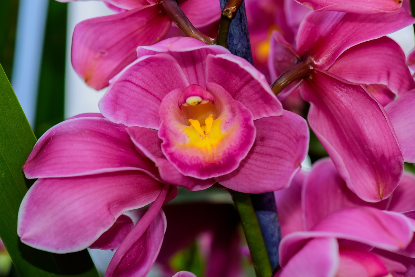 Ray Huffman, Photographer / Digital Artist