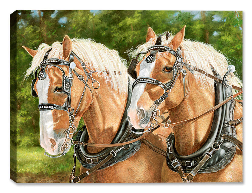 Buck and Babe - Horses by Carol Decker – Canvas Art Plus