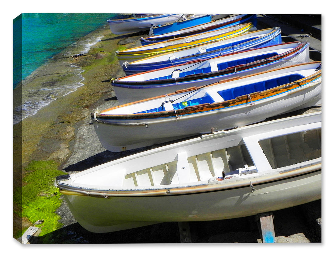 Capri Boats - Indoor/Outdoor Art