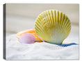 Sea Shells on the Beach - Canvas Art Print – Canvas Art Plus