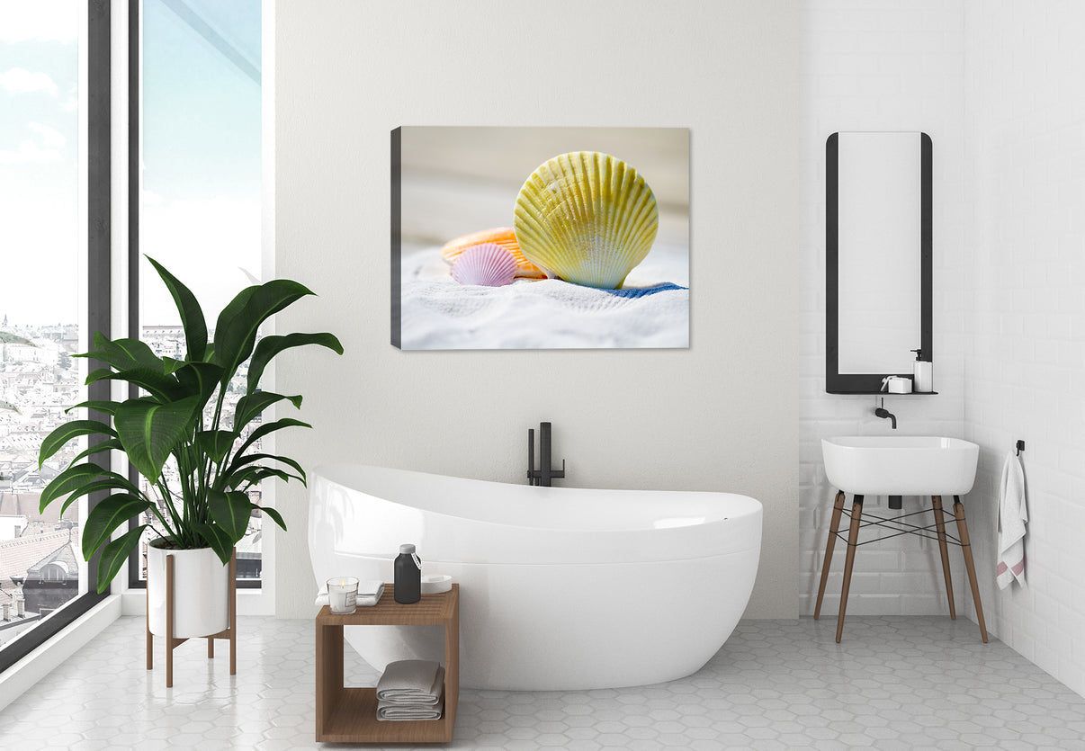 Sea Shells on the Beach - Canvas Art Print – Canvas Art Plus